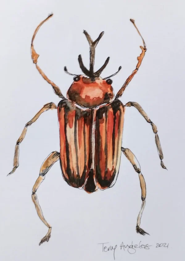 A4 Brown Beetle — Digital Art Print by Terry Angelos - Terry Angelos Studio